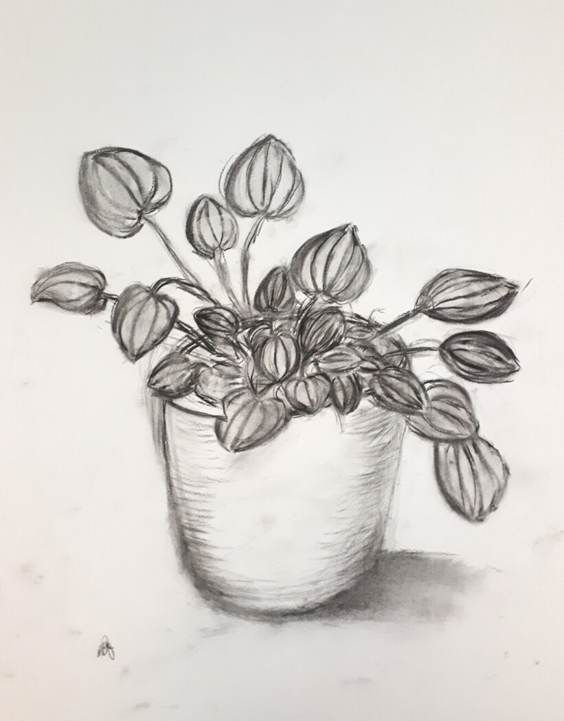 Foundational Drawing Workshop