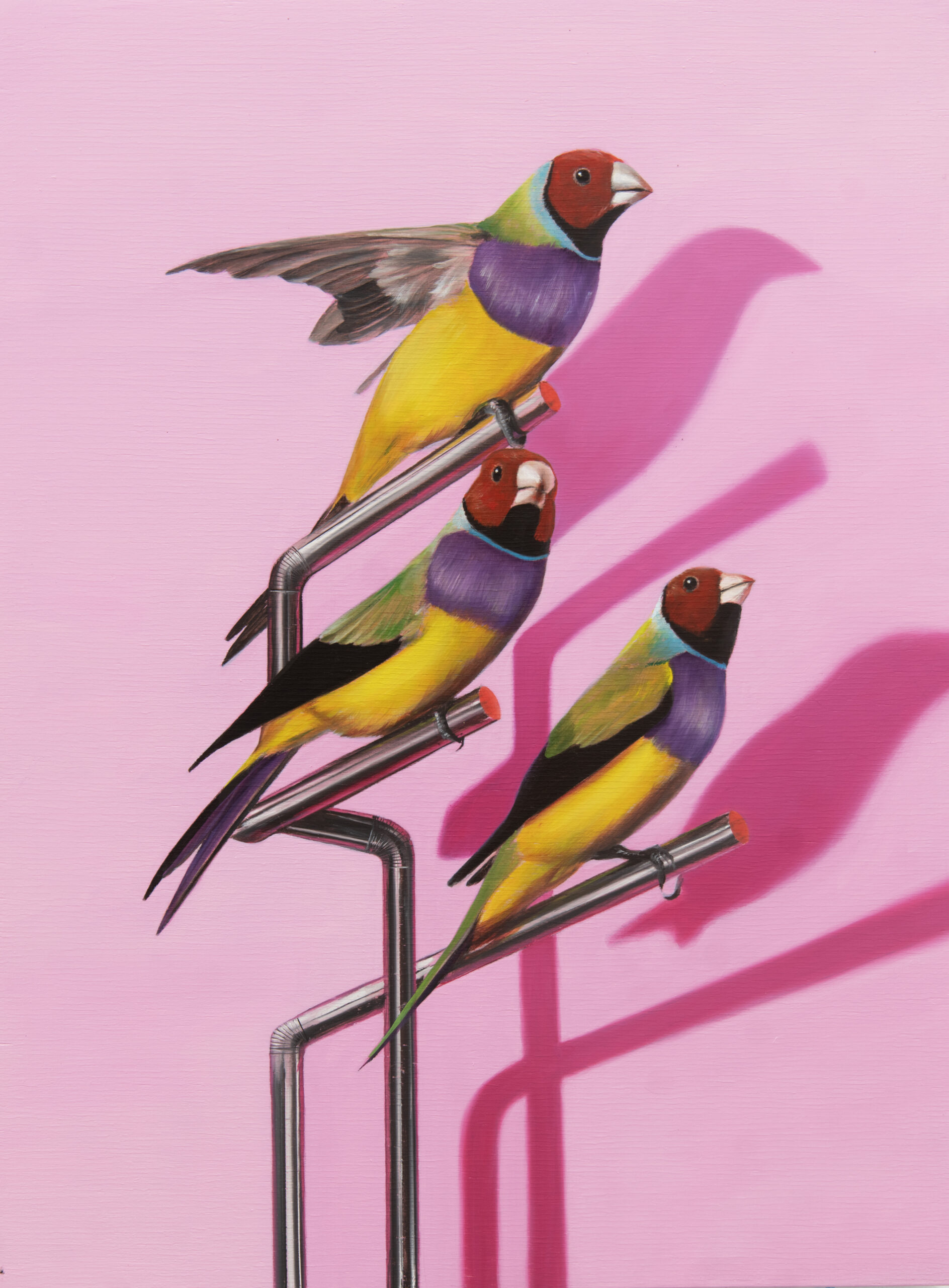 Sam Leach's - Finches, Grisaille and Colour Masterclass